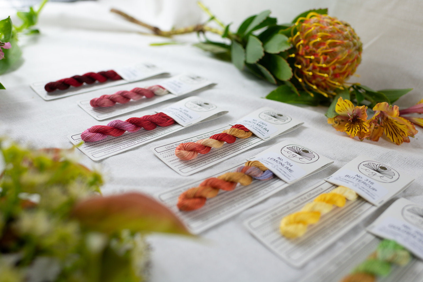 NEW SHAPE PRE ORDER BUNDLE – Cottage Garden Threads